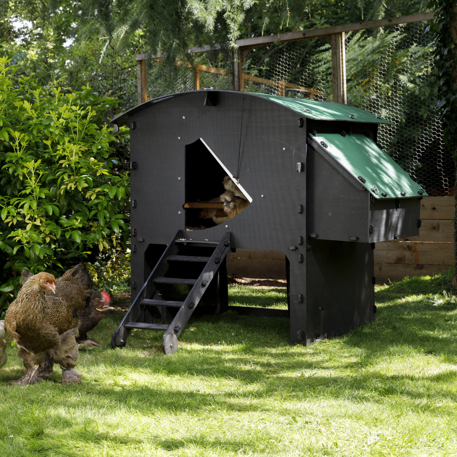 Nestera Plastic Chicken Houses | The Chicken House Company