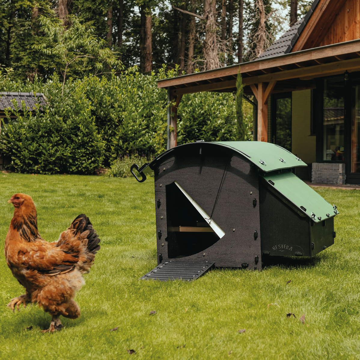 Nestera Plastic Chicken Houses | The Chicken House Company