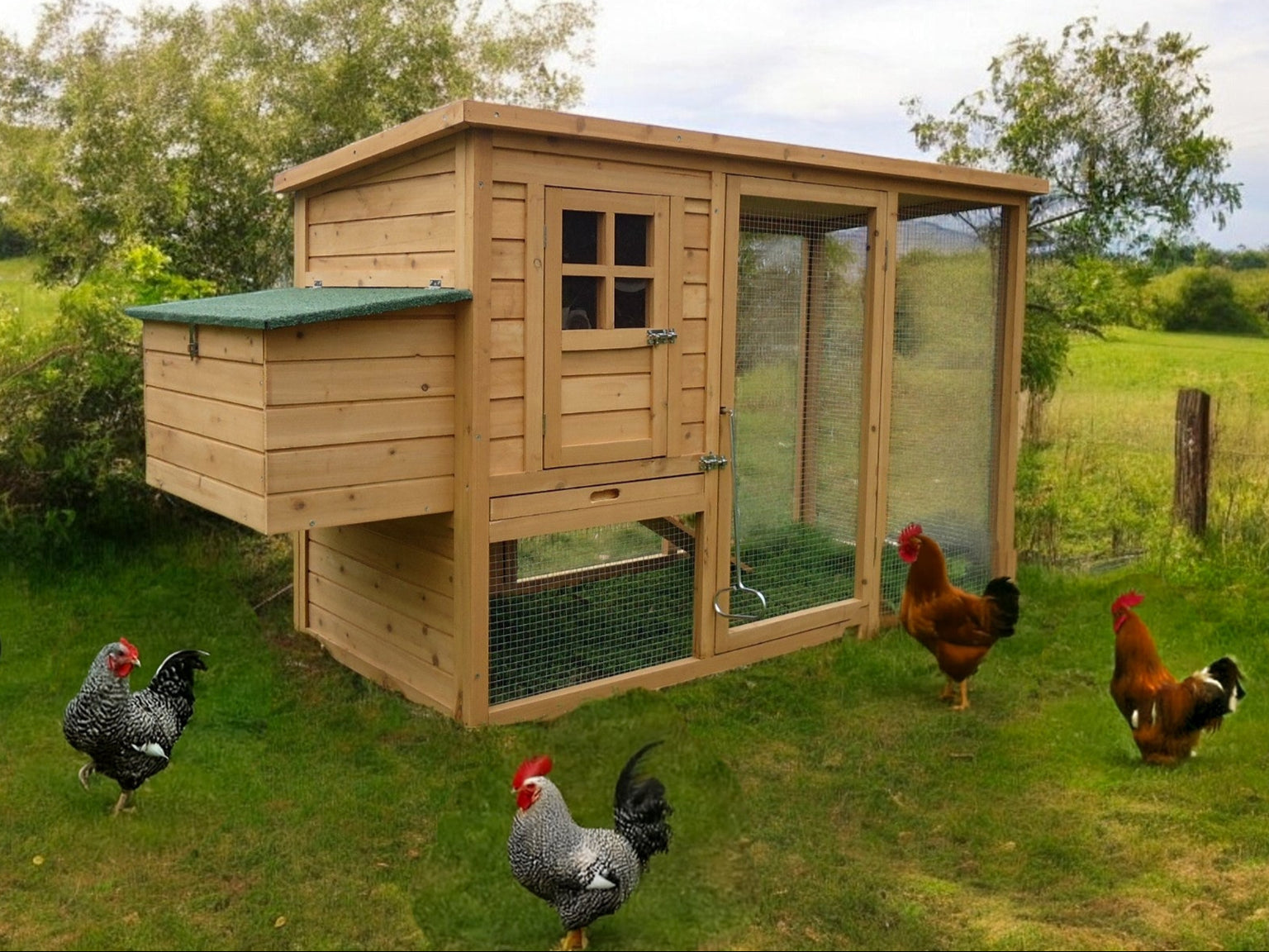 Quality Chicken Coops - UK Chicken Coops - The Chicken House Company