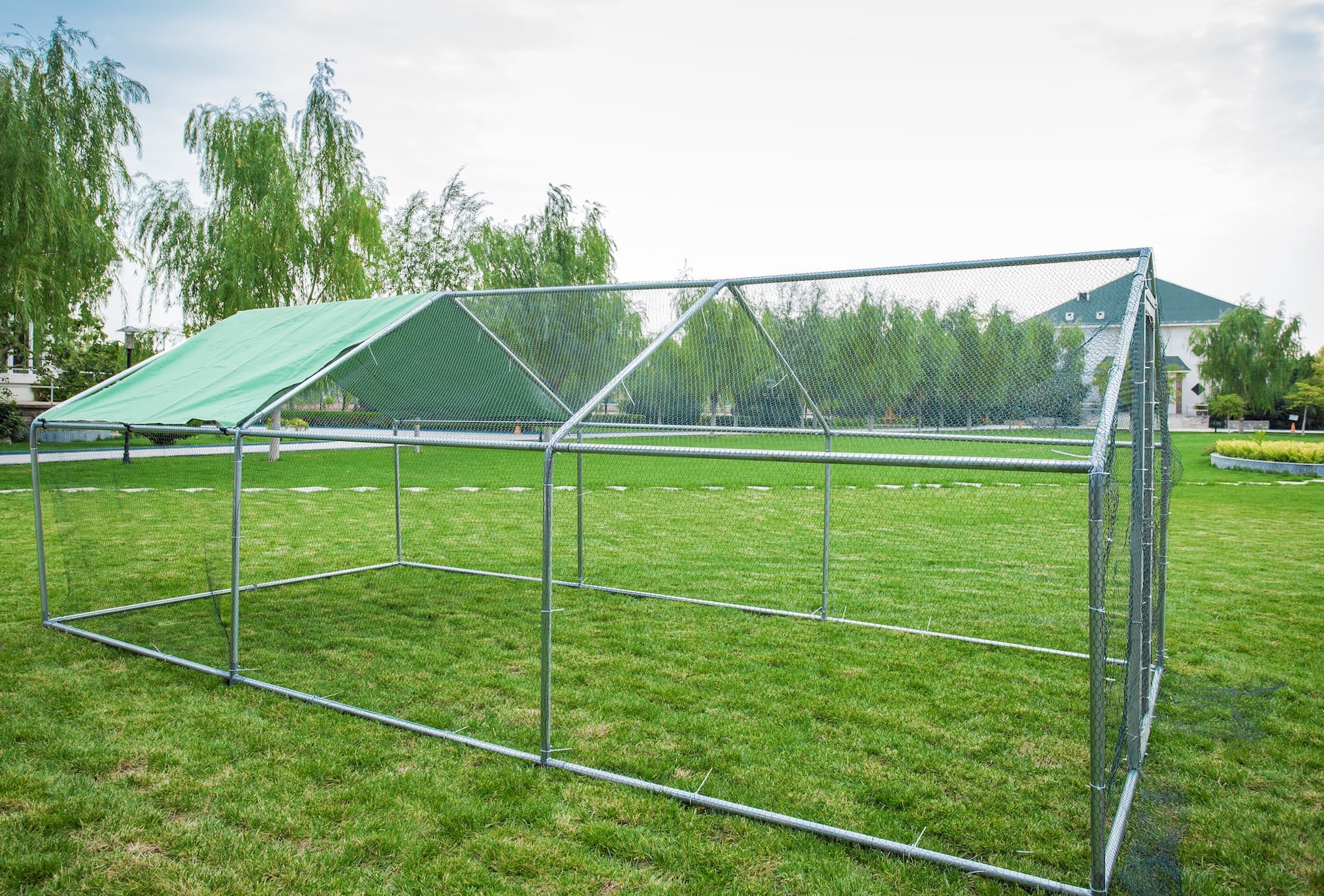 Metal Chicken Duck Run 6m x 3m 38mm frame - SPECIAL OFFER — The Chicken ...