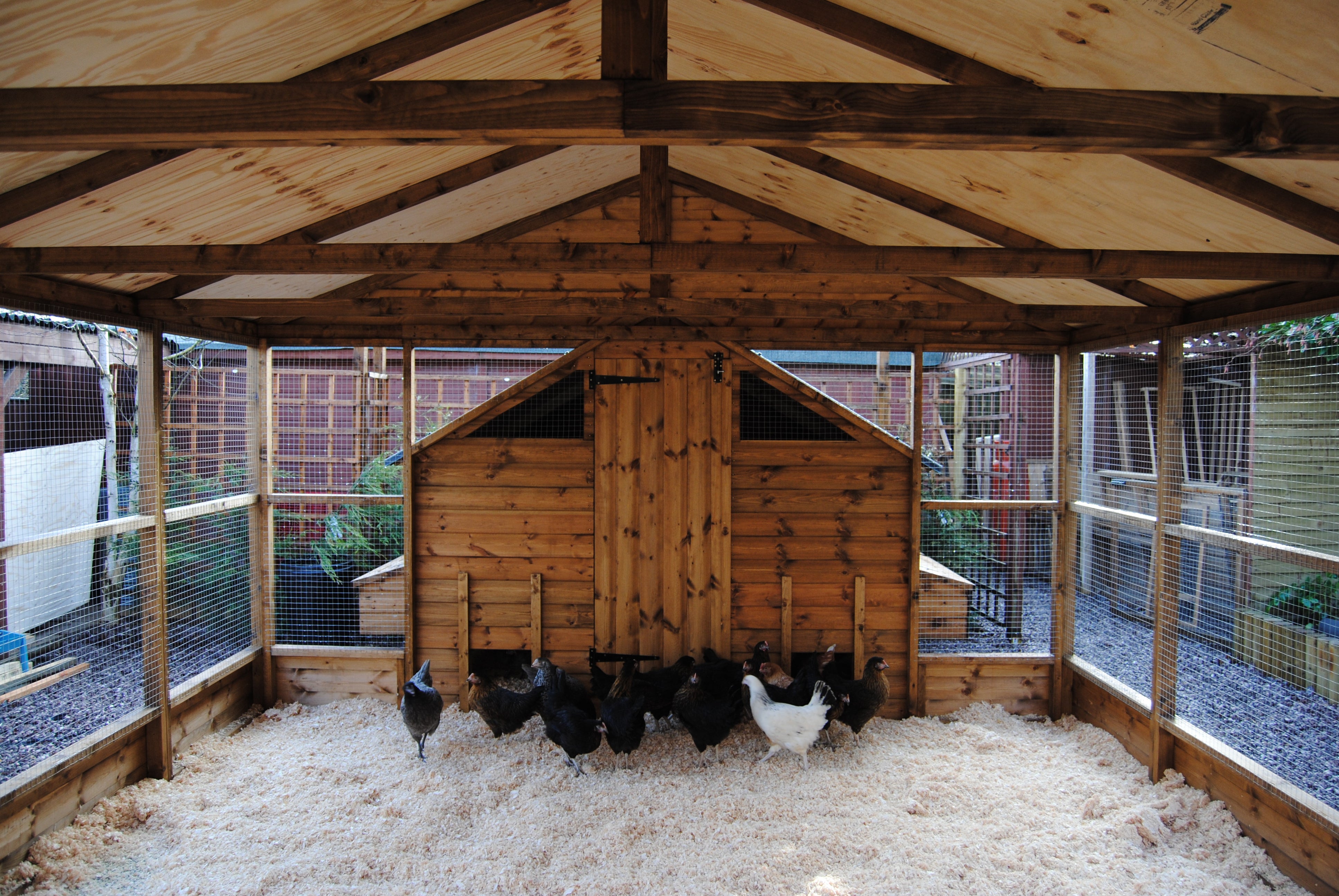 Bespoke Chicken Coop, Dog Kennel or Cat Run - Custom Made | The Chicken ...